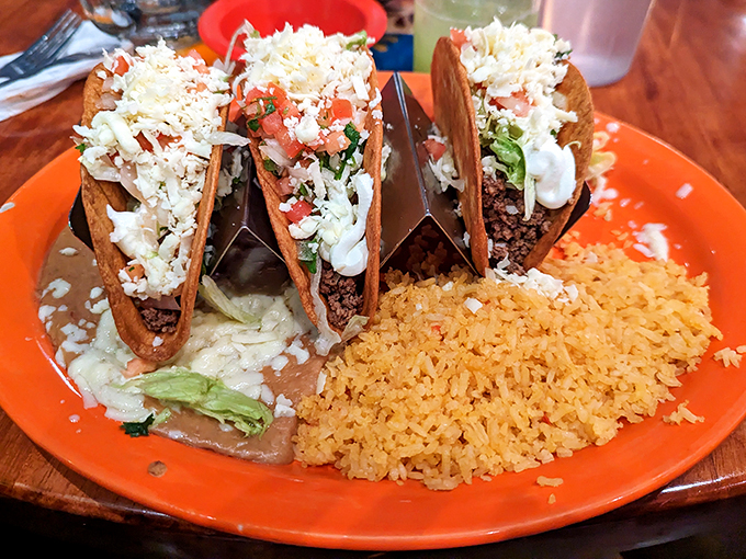 mango's tequila bar 5