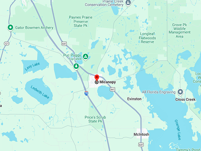 micanopy, florida 10 map