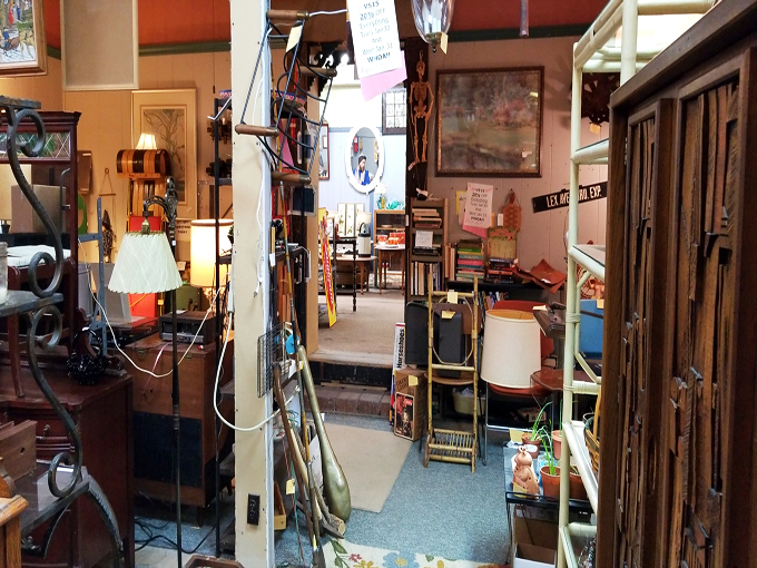 neighborhood thrift store 7