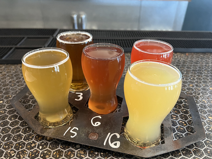 obscurity brewing and craft mead 6