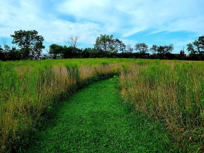 obscurity brewing and craft mead 9