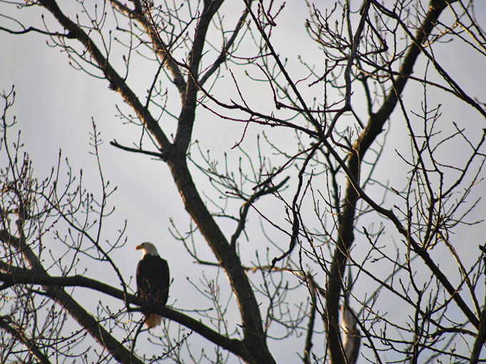 pere marquette state park 3