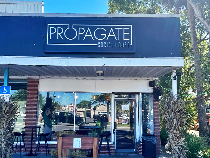 propagate social house 1