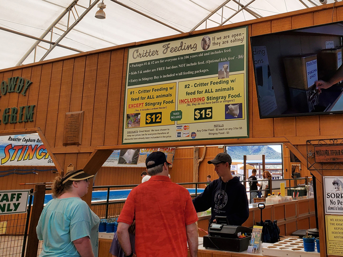 rooster cogburn ostrich ranch 2