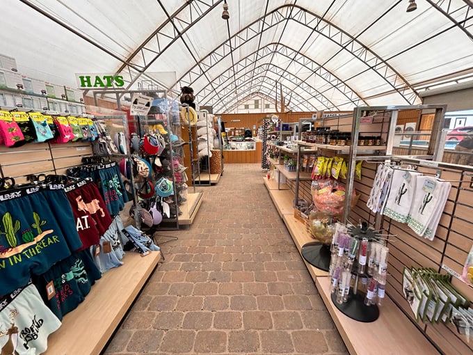 rooster cogburn ostrich ranch 8