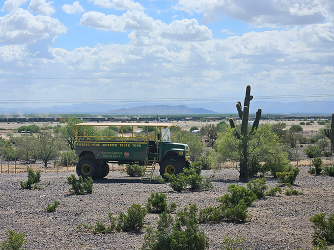 rooster cogburn ostrich ranch 9