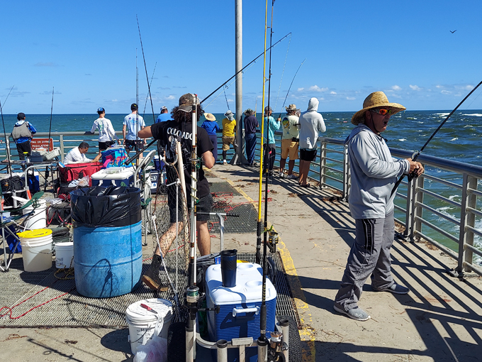 sebastian inlet state park 3