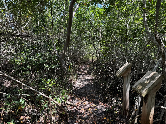 sebastian inlet state park 6