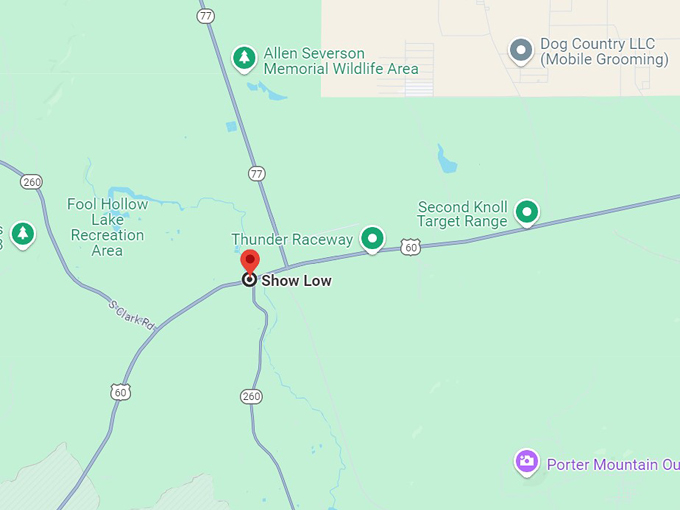 show low, arizona 10 map