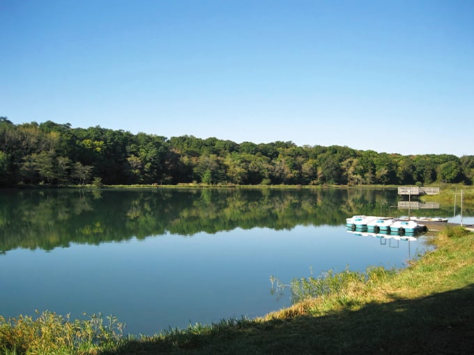 silver springs state fish and wildlife area 1