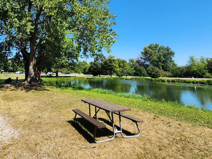 silver springs state fish and wildlife area 3