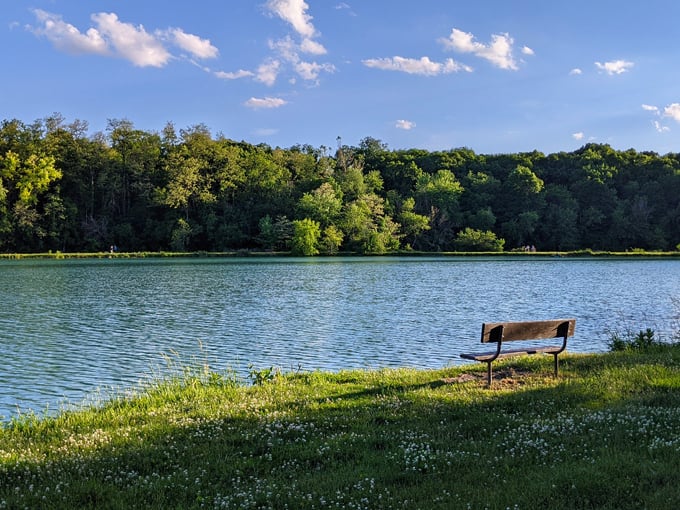 silver springs state fish and wildlife area 8
