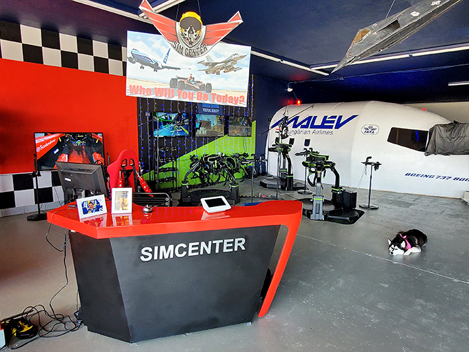 simcenter tampa bay 8