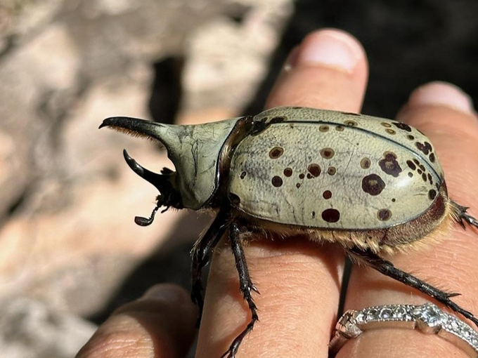 slide rock state park sedona, az 5