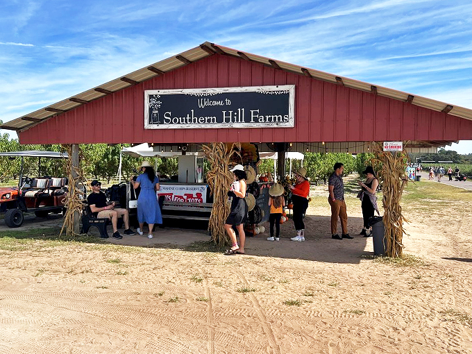 southern hill farms 1