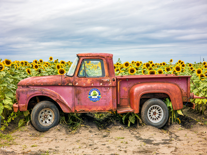 southern hill farms 2