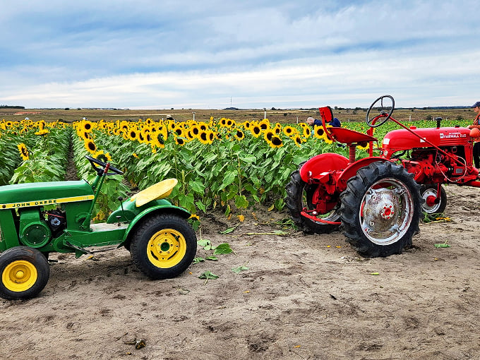 southern hill farms 5
