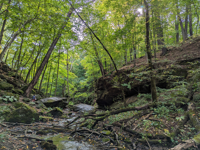 stephens falls trail 3