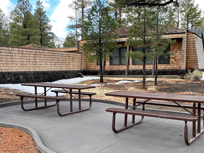 sunset crater and wupatki national monuments scenic drive 9