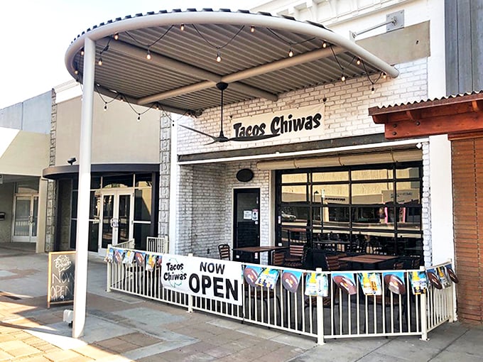 tacos chiwas 1