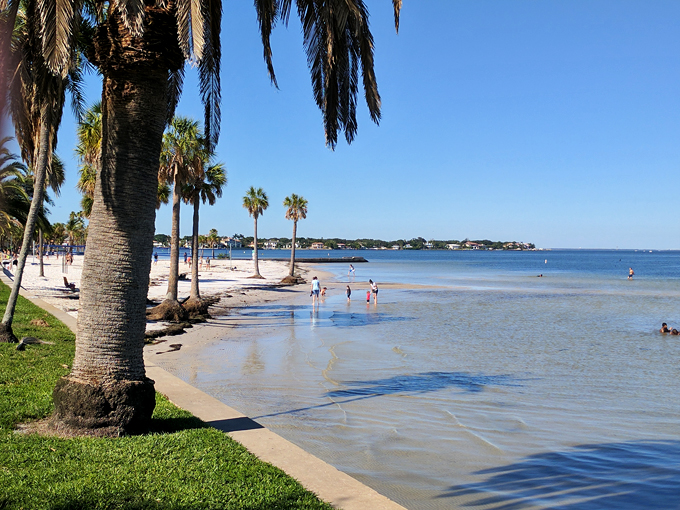 ted peters famous smoked fish 8