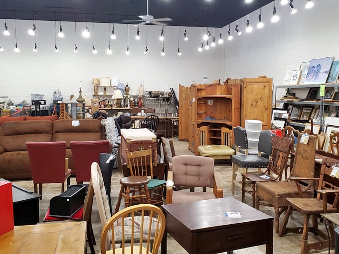 the humane society of southern arizona thrift store 2