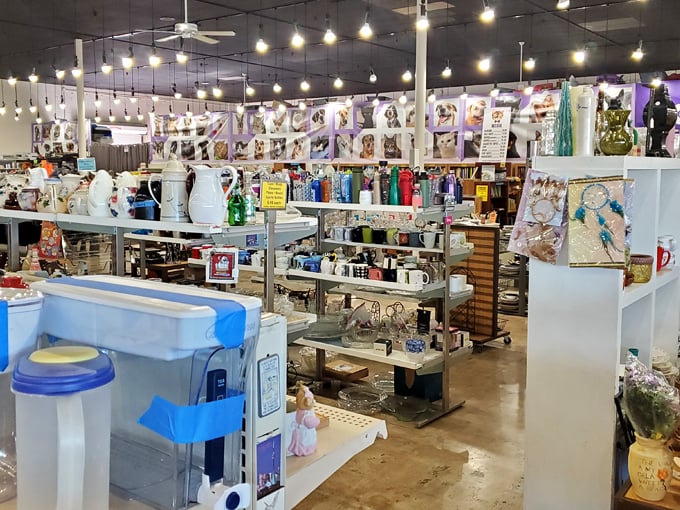 the humane society of southern arizona thrift store 3