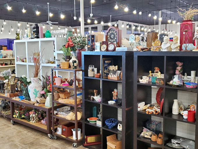 the humane society of southern arizona thrift store 4