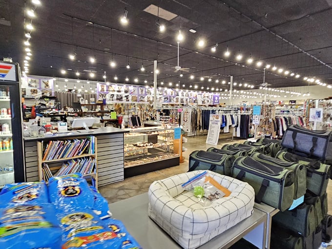 the humane society of southern arizona thrift store 7