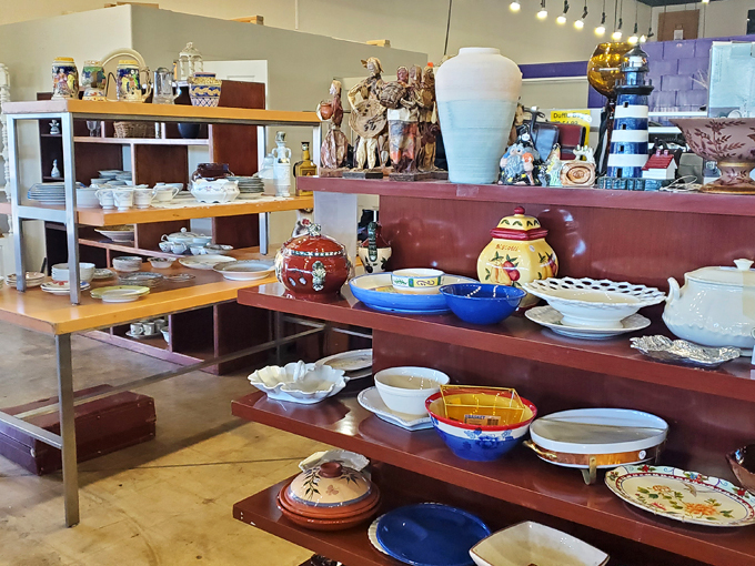 the humane society of southern arizona thrift store 9