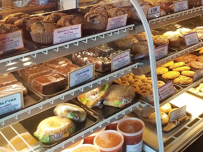 the local blend st joseph, mn 5