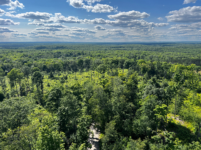the mountain fire lookout tower 5