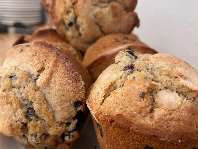 the oasis cafe & bakery 3