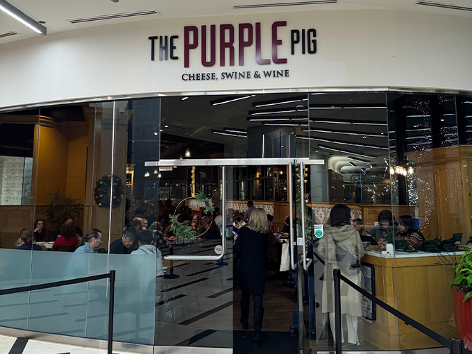 the purple pig 1