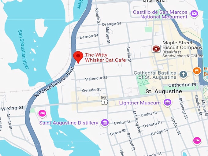 the witty whisker cat cafe 10 map