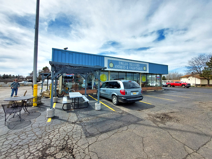 timeless treasures of mason 5