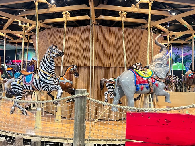 tom foolerys adventure park 8