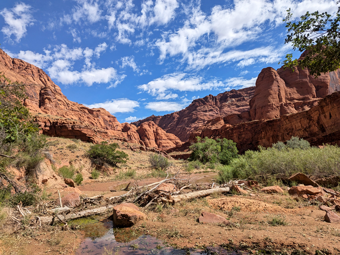 vermilion cliffs national monument 8