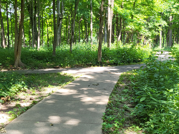 walnut point state park 2