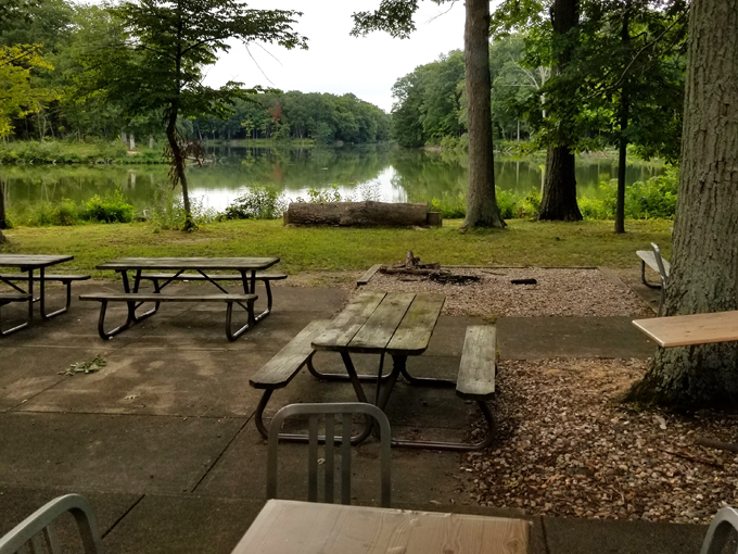 walnut point state park 5