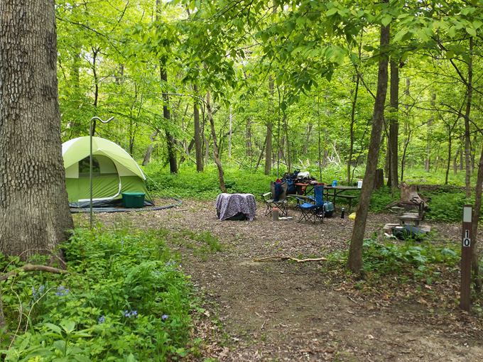 walnut point state park 6