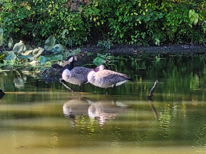 walnut point state park 7