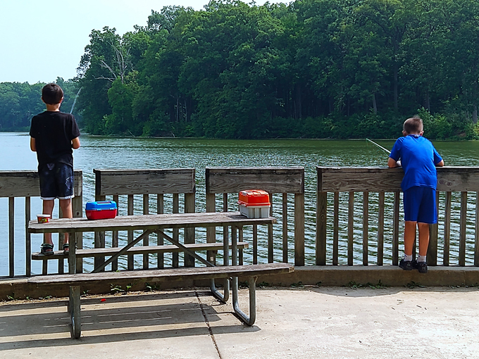 walnut point state park 8