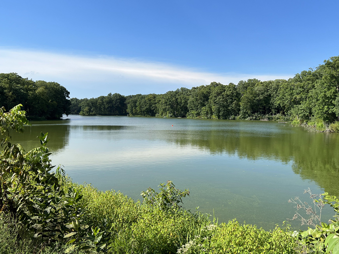 walnut point state park 9