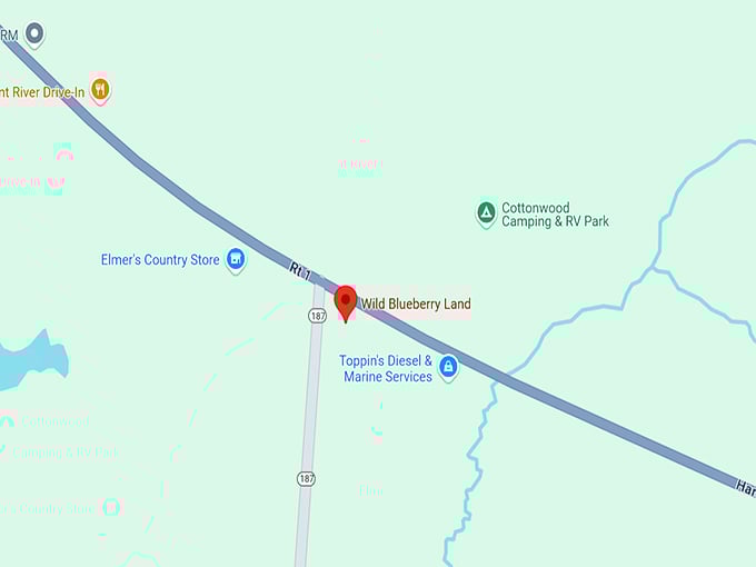wild blueberry land 10 map