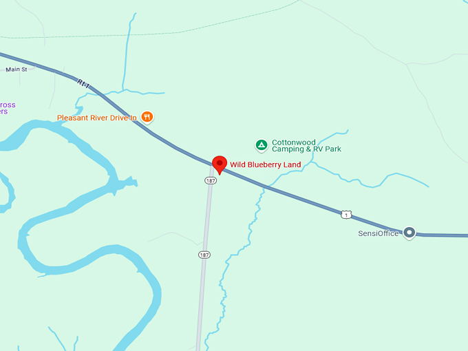 wild blueberry land 10 map