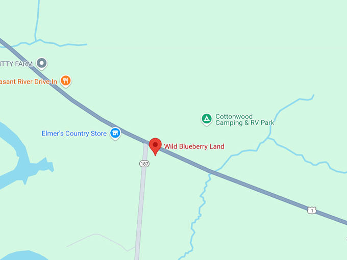 wild blueberry land map