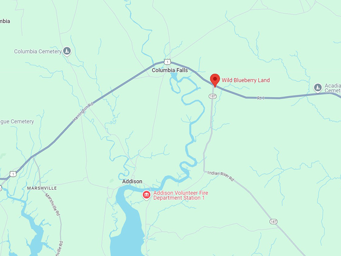 wild blueberry land map