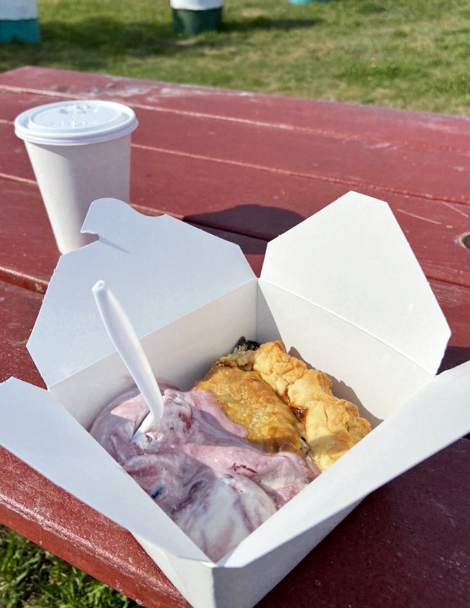 wild blueberry land 2