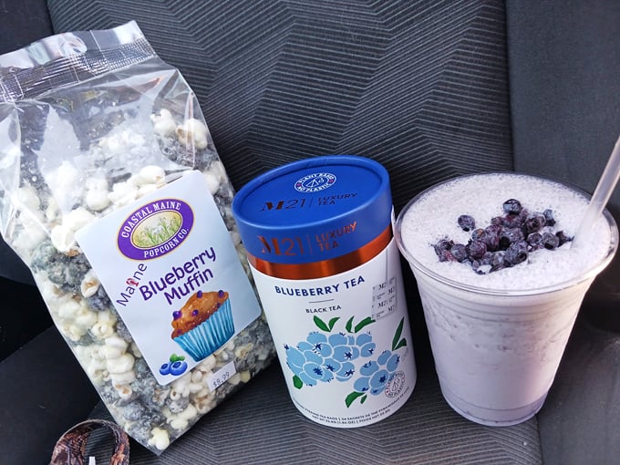 wild blueberry land 5